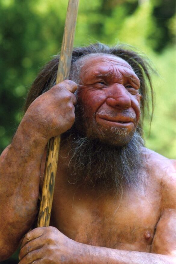 The Neanderthal: From brutal caveman to model in a suit – NEANDERTHAL ...