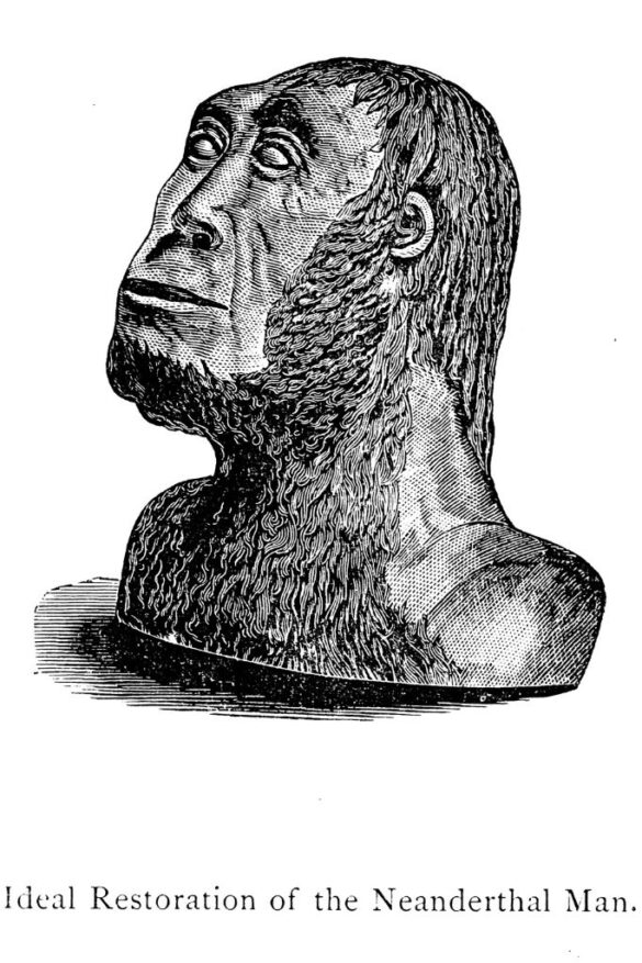 The Neanderthal: From brutal caveman to model in a suit – NEANDERTHAL MUSEUM BLOG